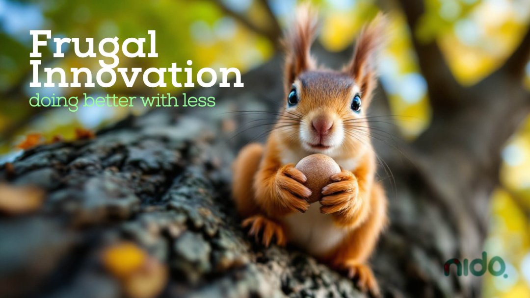 Innovation frugale | Faire mieux avec moins dans le secteur public • Nido